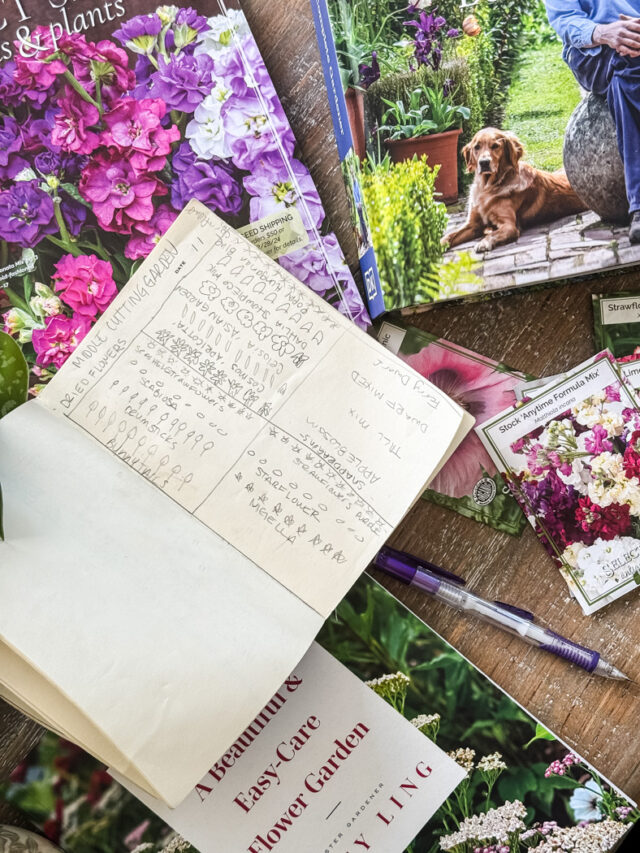 Lessons Learned, Flowers Earned: Reflections and Plans for a Thriving ...