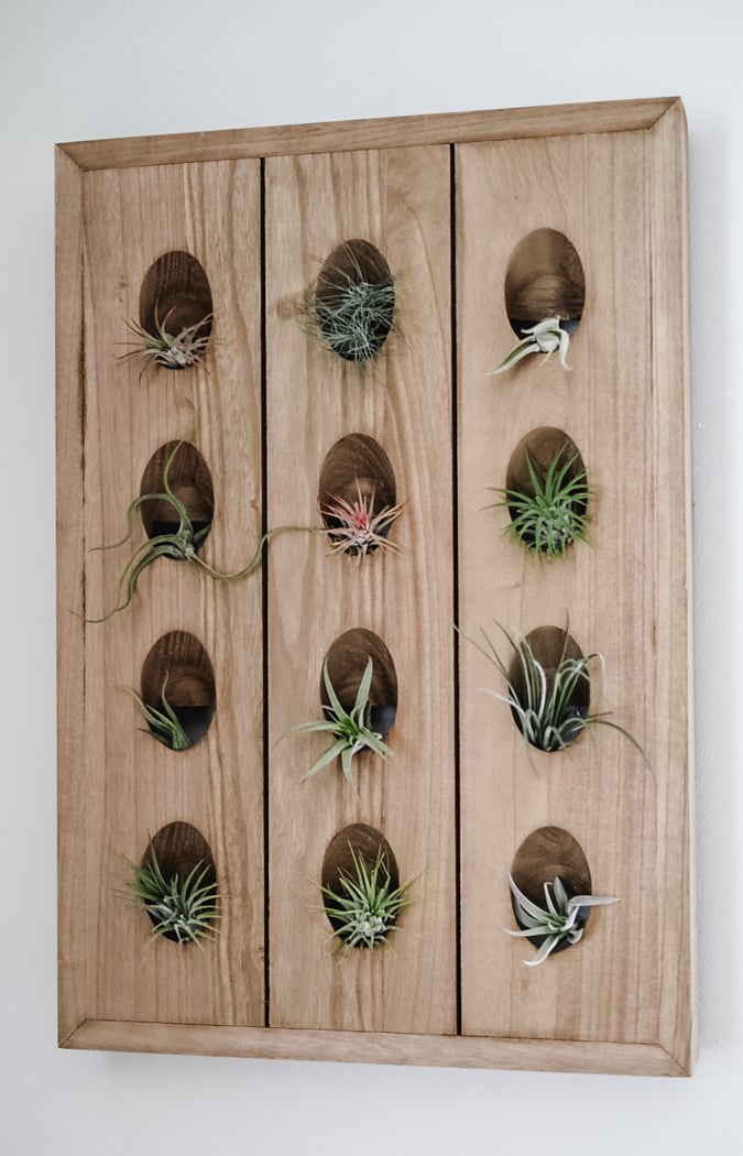 Green Up Your Home: Easy DIY Projects to Add a Touch of Greenery ...