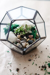 Green Up Your Home: Easy DIY Projects to Add a Touch of Greenery ...