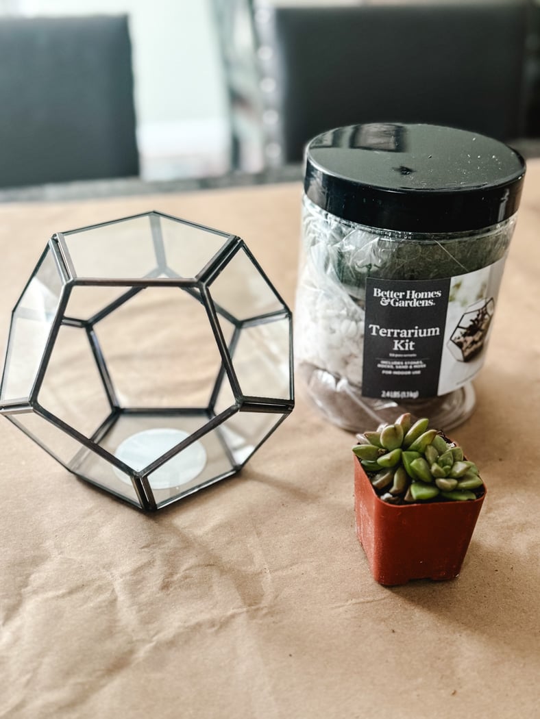 Green Up Your Home: Easy DIY Projects to Add a Touch of Greenery ...