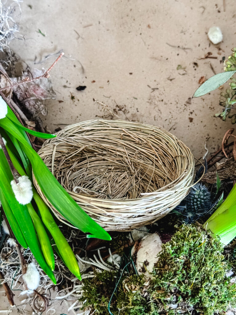 How to Make a Live Spring Wreath with Bulbs - Cottage On Bunker Hill