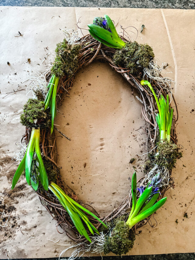 How to Make a Live Spring Wreath with Bulbs - Cottage On Bunker Hill