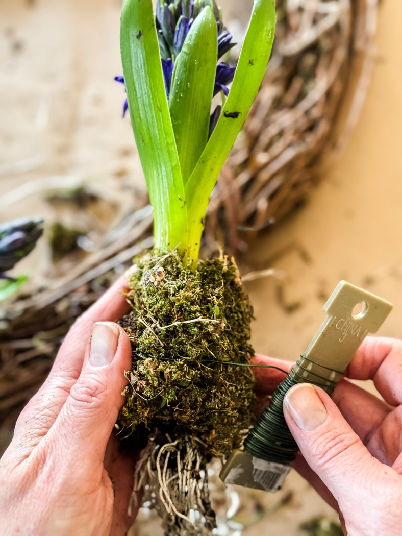 How to Make a Live Spring Wreath with Bulbs - Cottage On Bunker Hill