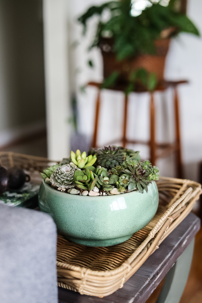 Green Up Your Home: Easy DIY Projects to Add a Touch of Greenery ...