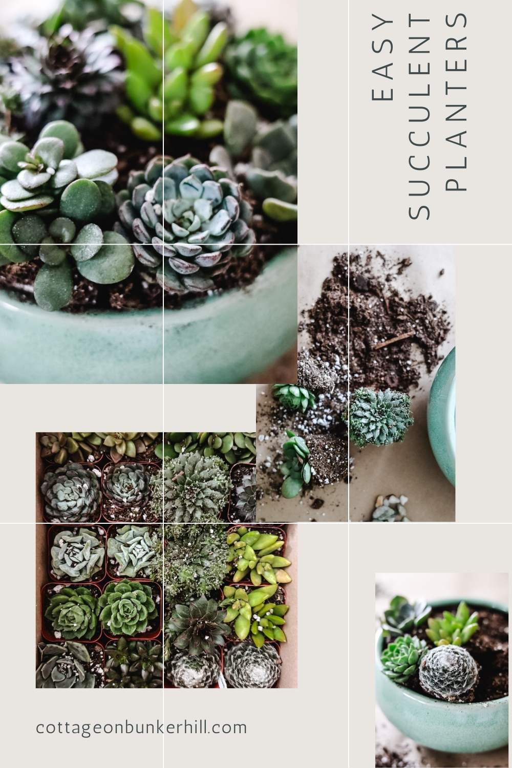 Succulent Planters Made Easy: A Beginner's Guide - Cottage On Bunker Hill