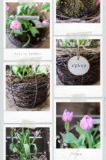 Simple Spring Flower Project: Tulip Basket Tutorial - Cottage On Bunker ...