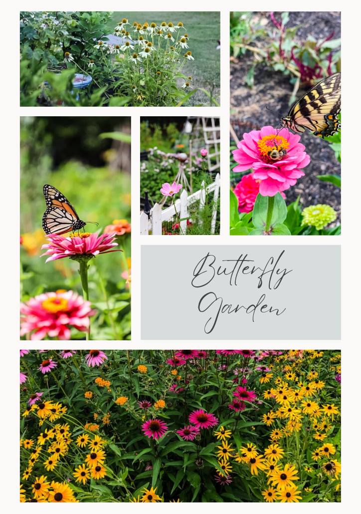 Best Flowers to Attract Butterflies: A Guide to Creating a Butterfly ...