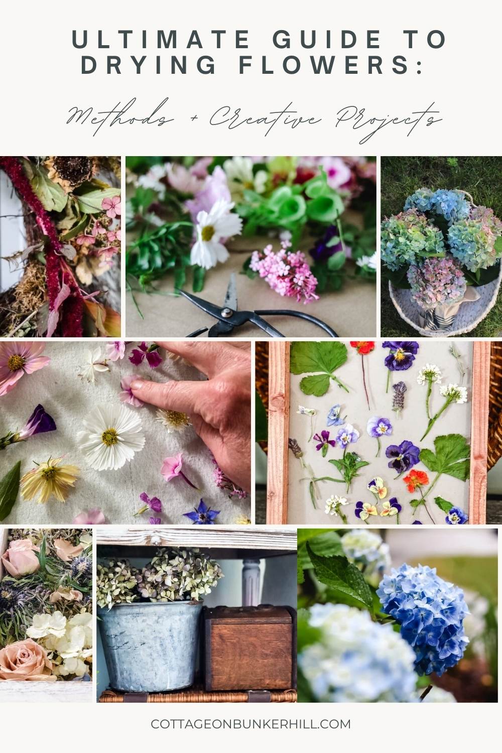 Ultimate Guide to Drying Flowers: Methods + Creative Projects - Cottage ...