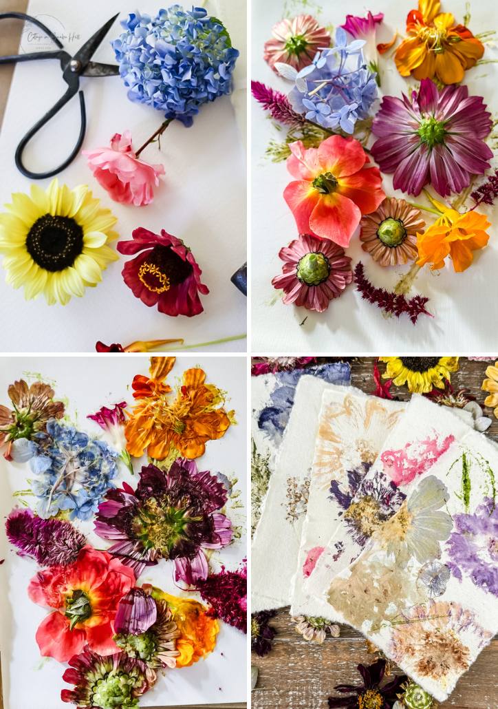 DIY Floral Ideas: Crafting with the Flower Pounding Technique - Cottage ...