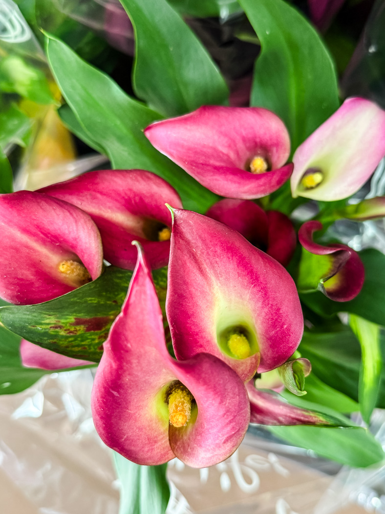 The Language of Love: Decoding the Meanings Behind Flowers - Cottage On ...