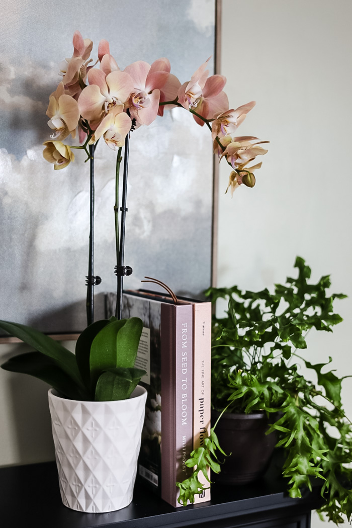 The Language of Love: Decoding the Meanings Behind Flowers - Cottage On ...