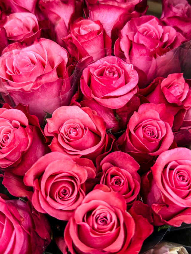 The Language of Love: Decoding the Meanings Behind Flowers - Cottage On ...