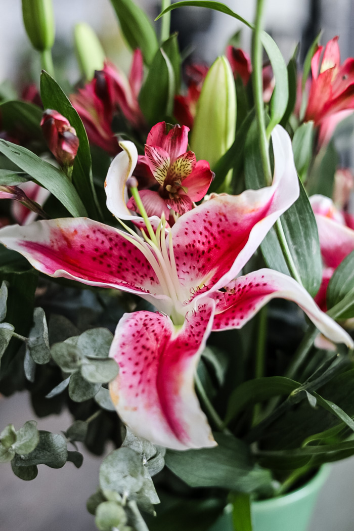 The Language of Love: Decoding the Meanings Behind Flowers - Cottage On ...