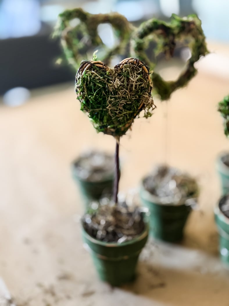 Mossy Heart Mini Topiaries: A Sweet DIY Project - Cottage On Bunker Hill