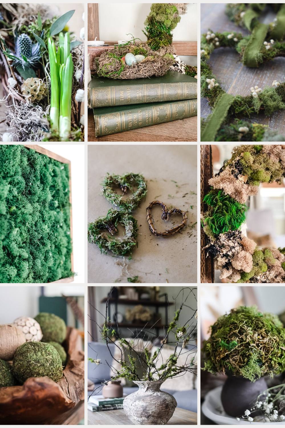 Moss Mania: DIY Projects for Every Home - Cottage On Bunker Hill