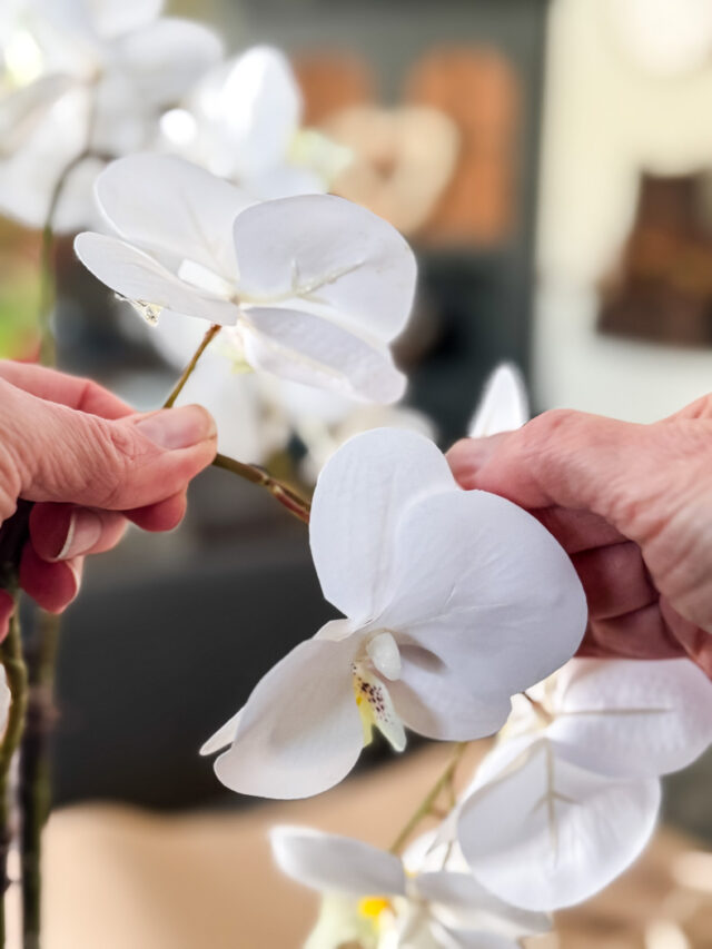Luxe for Less: DIY Orchid Arrangement & Planter - Cottage On Bunker Hill