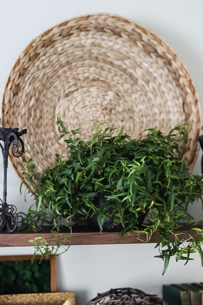 Secondhand Style: Decorating My Bookcase with Thrifted Finds - Cottage ...
