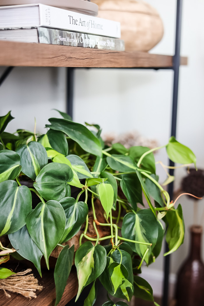 Secondhand Style: Decorating My Bookcase with Thrifted Finds - Cottage ...