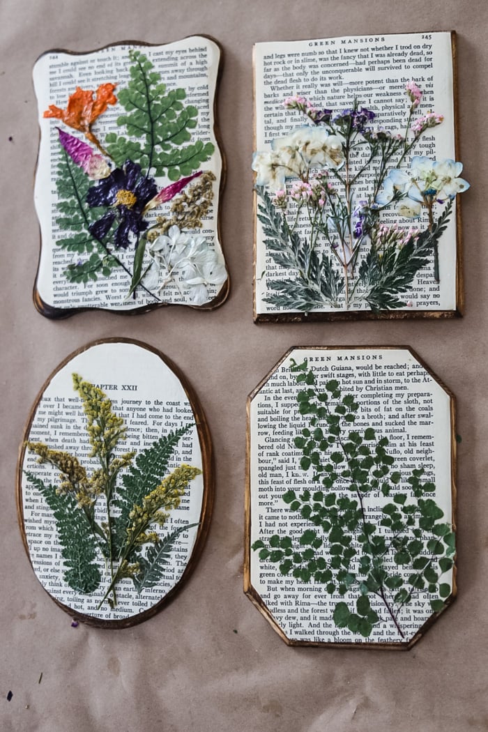 Vintage Vibes: Crafting Decoupage Plaques with Pressed Flowers ...