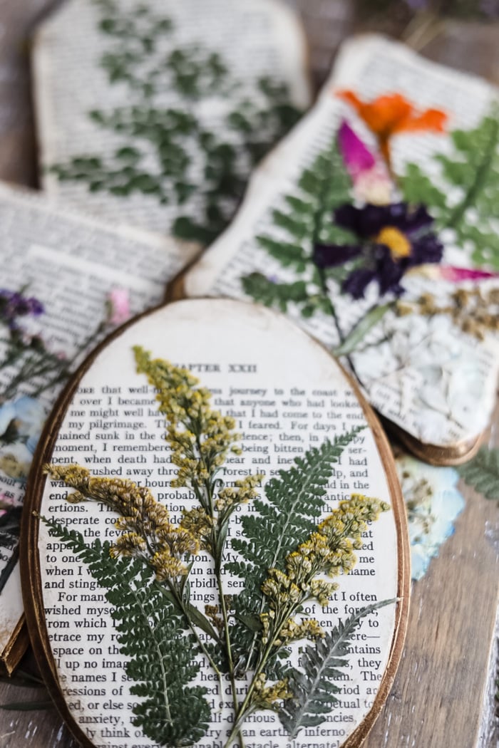 Vintage Vibes: Crafting Decoupage Plaques with Pressed Flowers ...