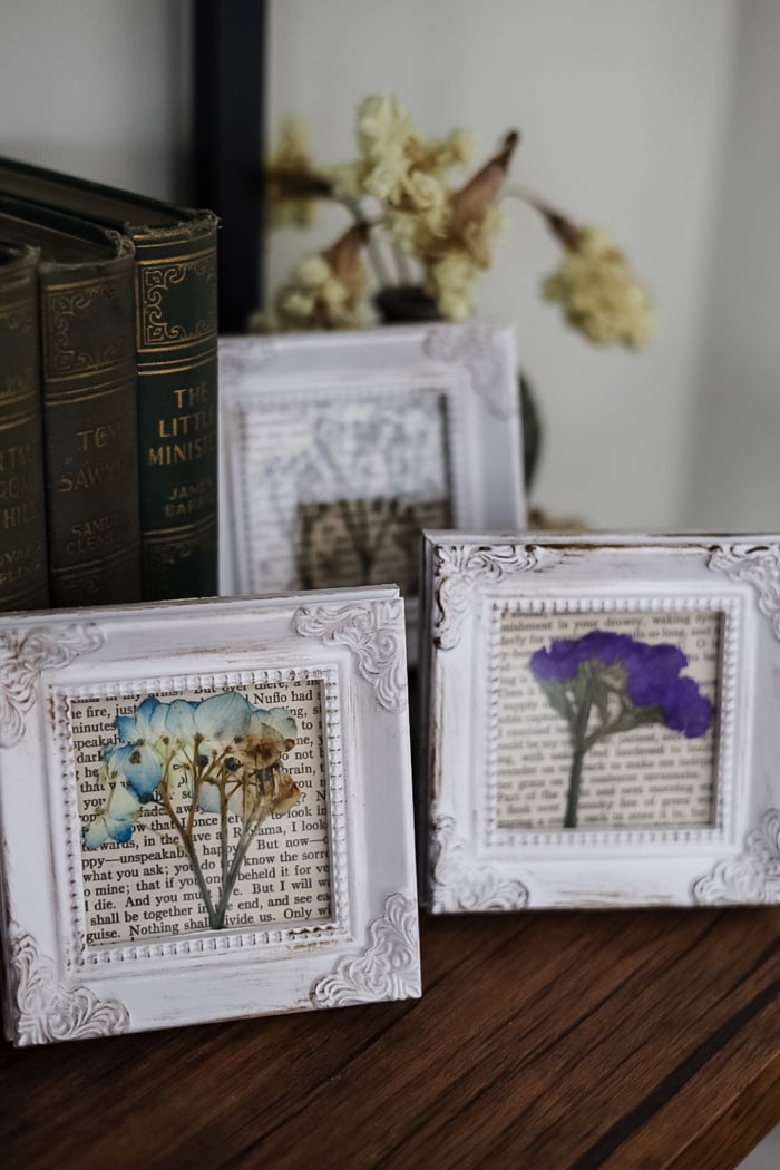 Framed Pressed Flower Art: A DIY for Every Style - Cottage On Bunker Hill
