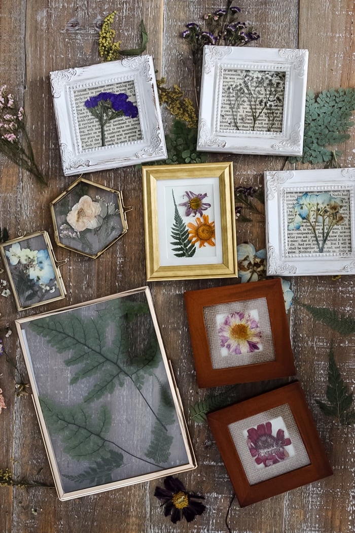 Framed Pressed Flower Art: A DIY for Every Style - Cottage On Bunker Hill