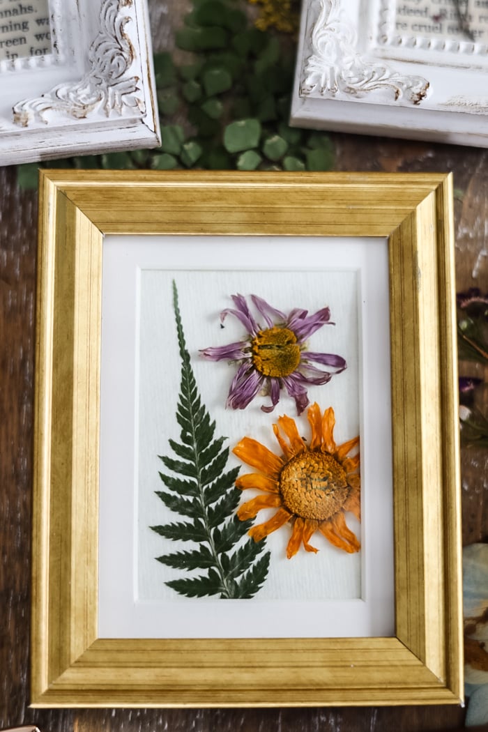 Framed Pressed Flower Art: A DIY for Every Style - Cottage On Bunker Hill
