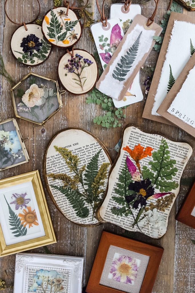 Framed Pressed Flower Art: A DIY for Every Style - Cottage On Bunker Hill