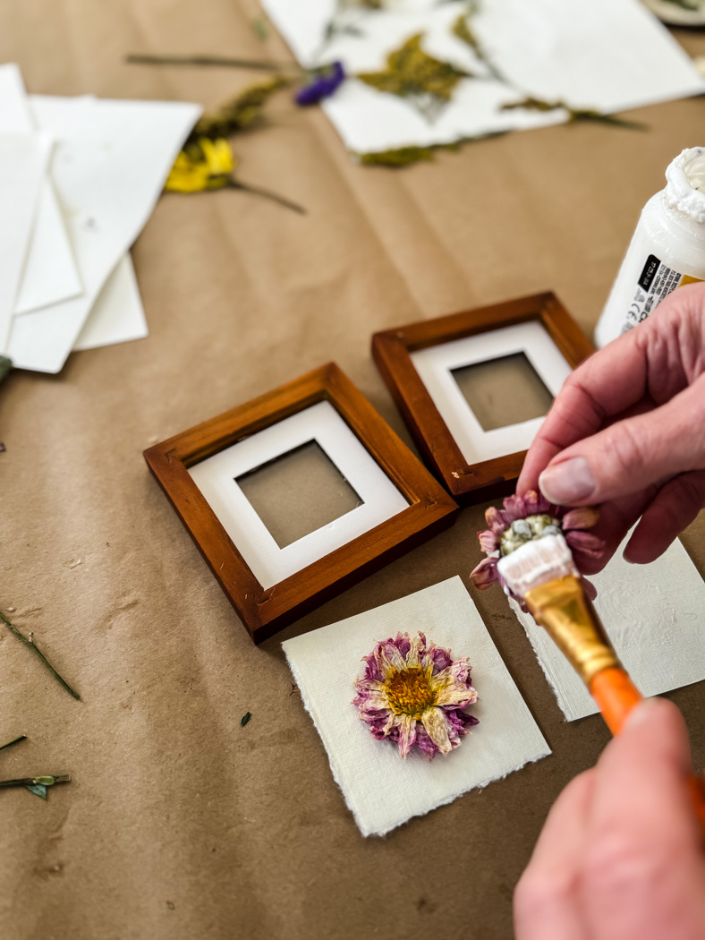Framed Pressed Flower Art: A DIY for Every Style - Cottage On Bunker Hill