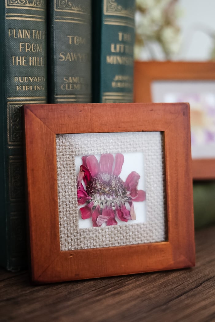 Framed Pressed Flower Art: A DIY for Every Style - Cottage On Bunker Hill