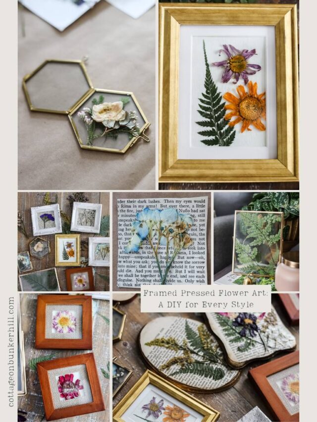 Framed Pressed Flower Art: A DIY for Every Style - Cottage On Bunker Hill