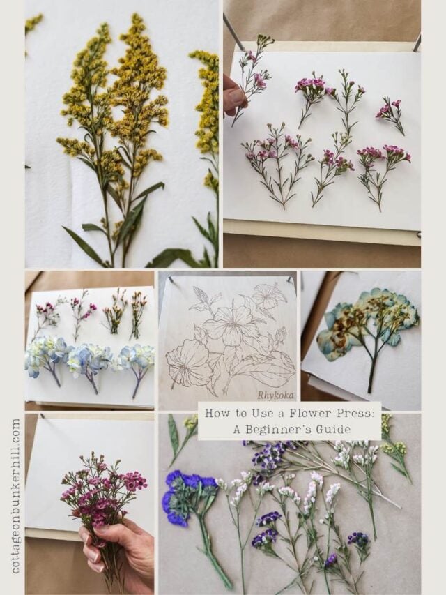 From Garden to Art: Craft Your Own Pressed Flower Clay Decor - Cottage ...