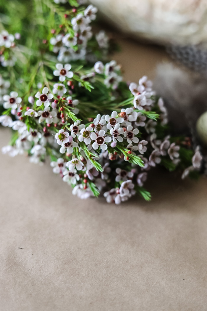 Fresh & Feathery: A Spring Wreath Tutorial - Cottage On Bunker Hill