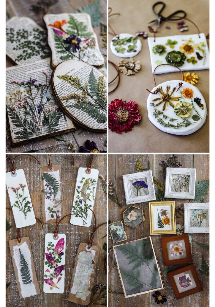 Pressed Flower DIY Projects: A Roundup of Beautiful Creations - Cottage ...