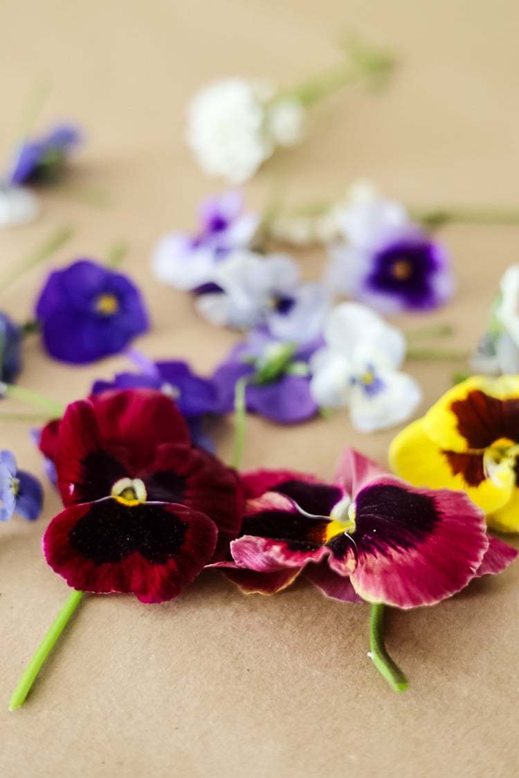 Stop Wasting Flowers! 4 Foolproof Ways to Press Blooms Like a Pro ...