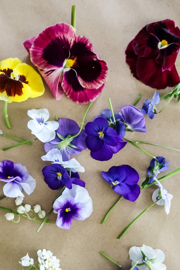 The Best Flowers for Pressing: A Guide to Choosing the Right Blooms ...
