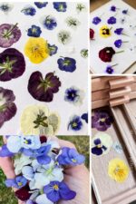 Stop Wasting Flowers! 4 Foolproof Ways to Press Blooms Like a Pro ...