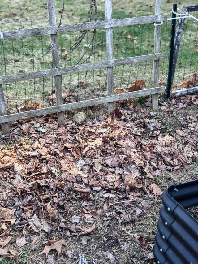 The New England Gardener's April To-Do List (Zone 6a) - Cottage On ...